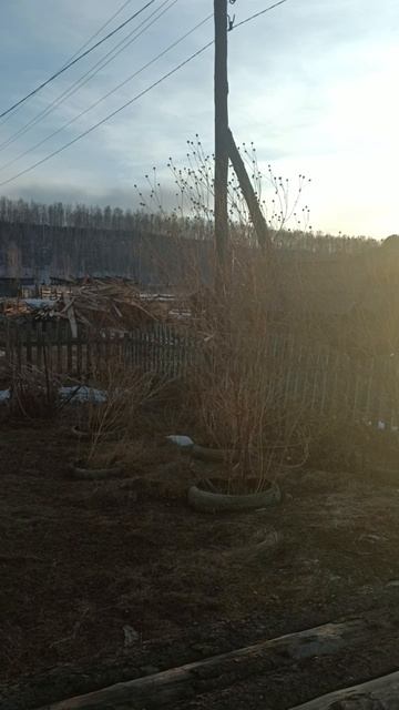 СИБИРЬ: ЗАГОТОВКА ДРОВ НА ЗИМУ 1000044213.mp4