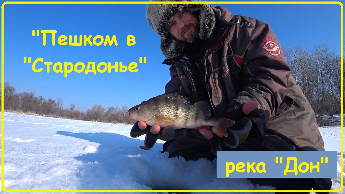 "Пешком в "стародонье".