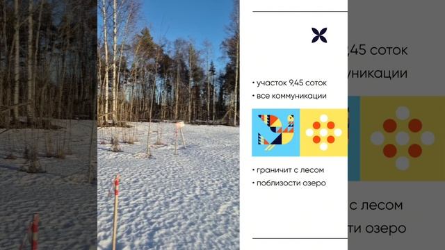 #УчасткиТапио_участок№106