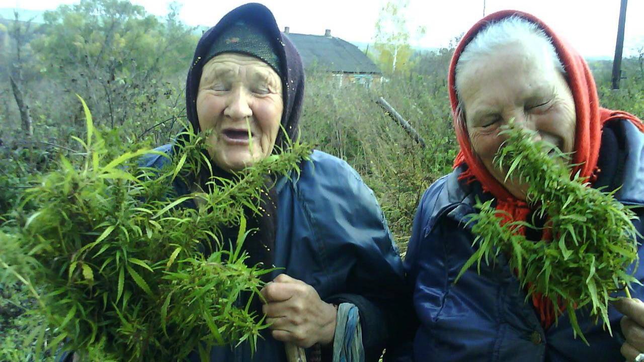 6 МИНУТ СМЕХА ДО СЛЁЗ 😎 ЛУЧШИЕ ПРИКОЛЫ  😎 Ржака Угар Прикол Мемы #4