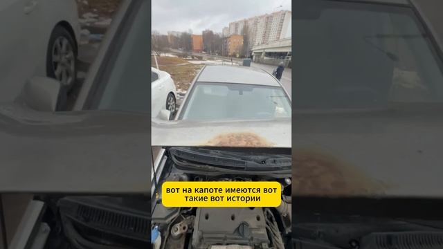 ОСМОТР KIA RIO после долгого простоя!  КИА РИО #фишавто  #топ