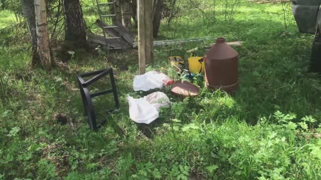 автоматическая кормушка для охоты