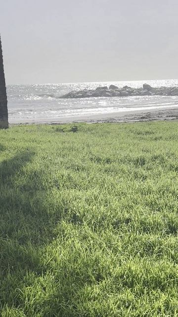 🌊 Море вернуло мусор человеку 🧑🚀