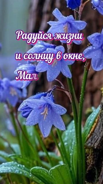 С добрым утром!#пожелания#весна#доброеутро#shorts