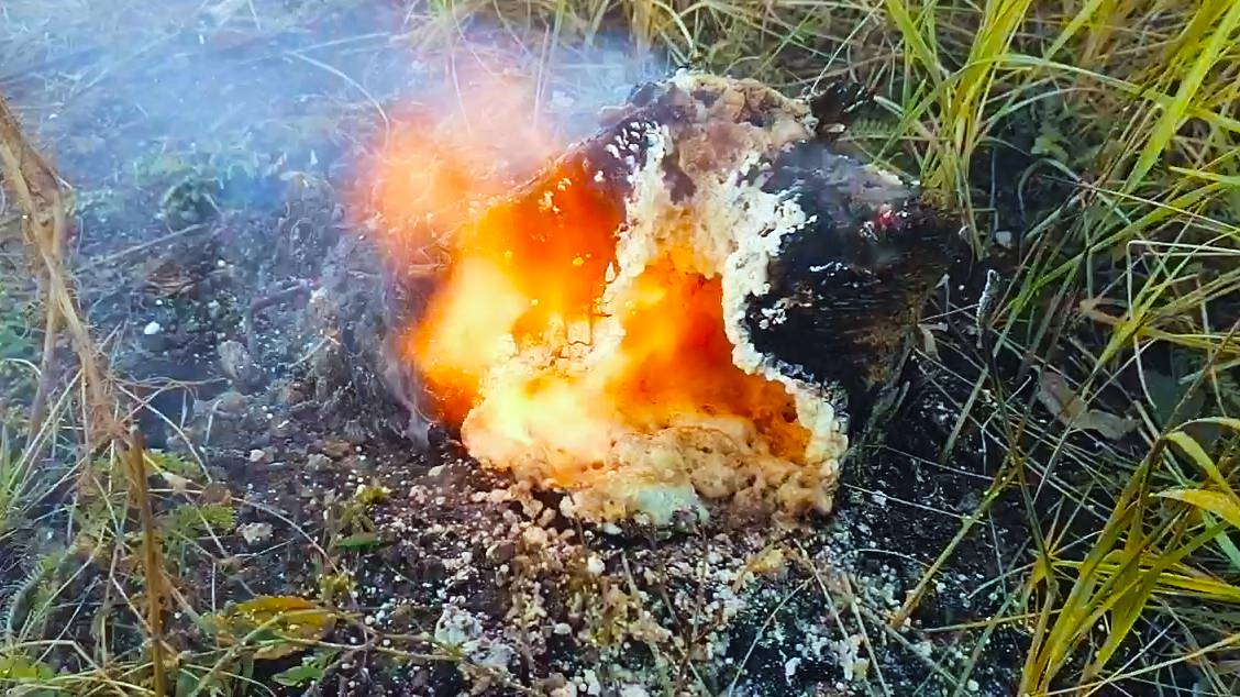 Как убрать пень без корчевания. Удаление пней с участка. Селитра для удаления пней.