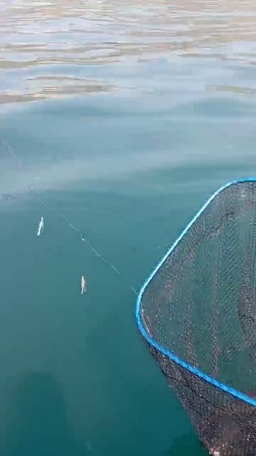 Пилькер 30 гр №8 от Mr.Musurok в деле 🎣