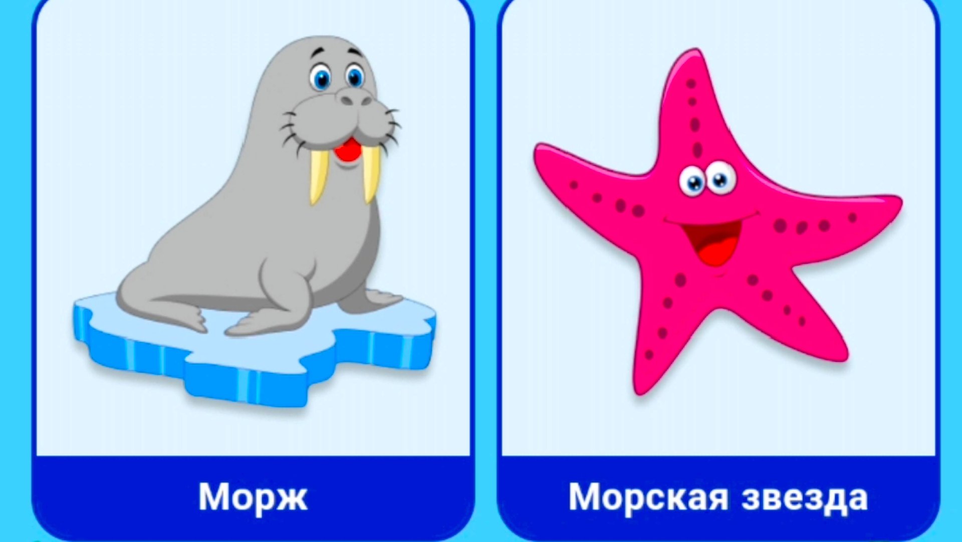 Учим названия Морских животных/ Развитие речи для малышей/ Развивающий мультфильм видно для детей