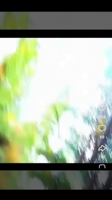 Медведь напал на охотника. Ружье не помогло