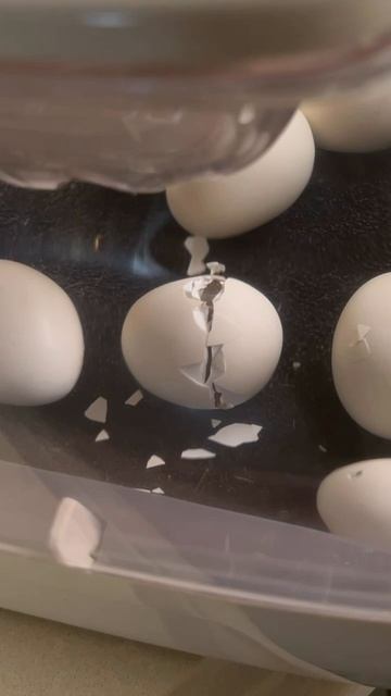 Залипательное видео 😍 Всех с добрым утром и с новой жизнью!