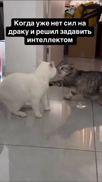 Он прошел тренинг по эффективным переговорам! А ты?