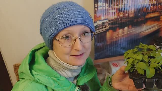 Видео привет с 6 соток 25 марта 2025 года.