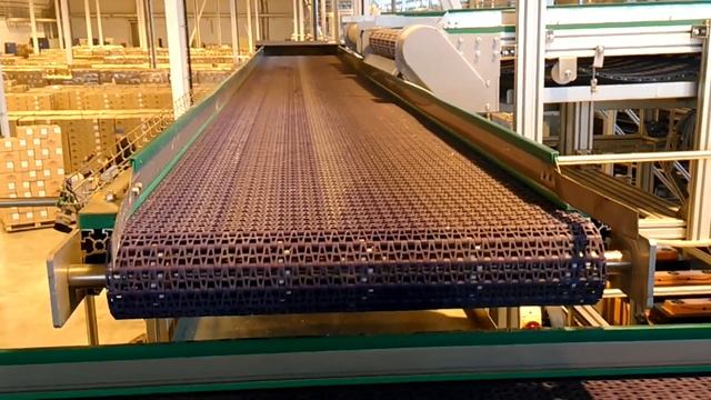 Модульный конвейер - пряники