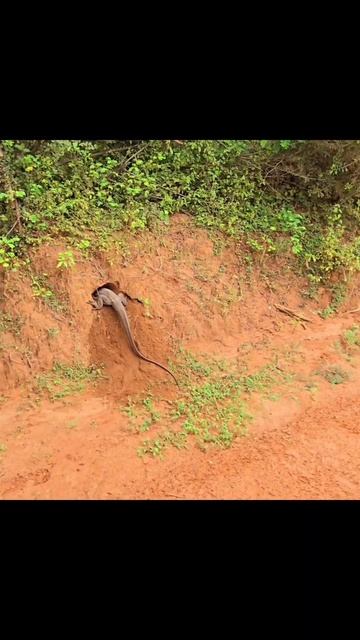 Эй! Кто нибудь дома?