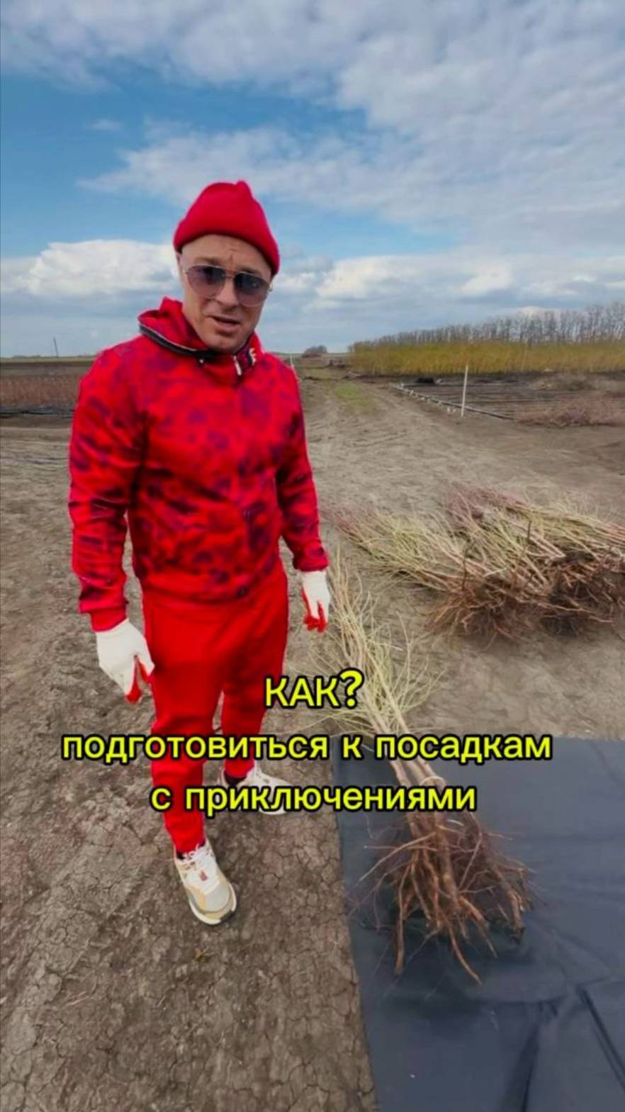 100 саженцев в легковушке?🌱🌱 
Ростов-Новороссийск: эко-миссия выполнима!