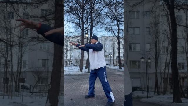 Ицюань (1323 день) Ченбао и Хуньюань Чжуан / Дань Дуаньшоу - 4 варианта Соло (26.03.25)