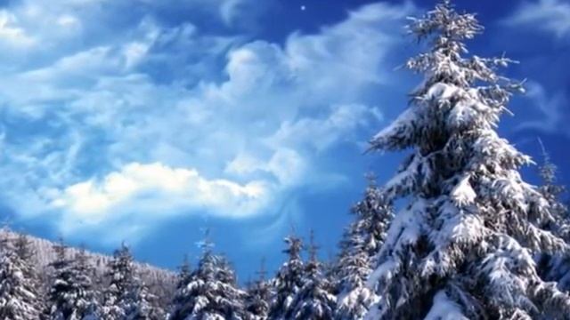 Игуменья Теодора (Васич). «Слава Богу, снова я один…»