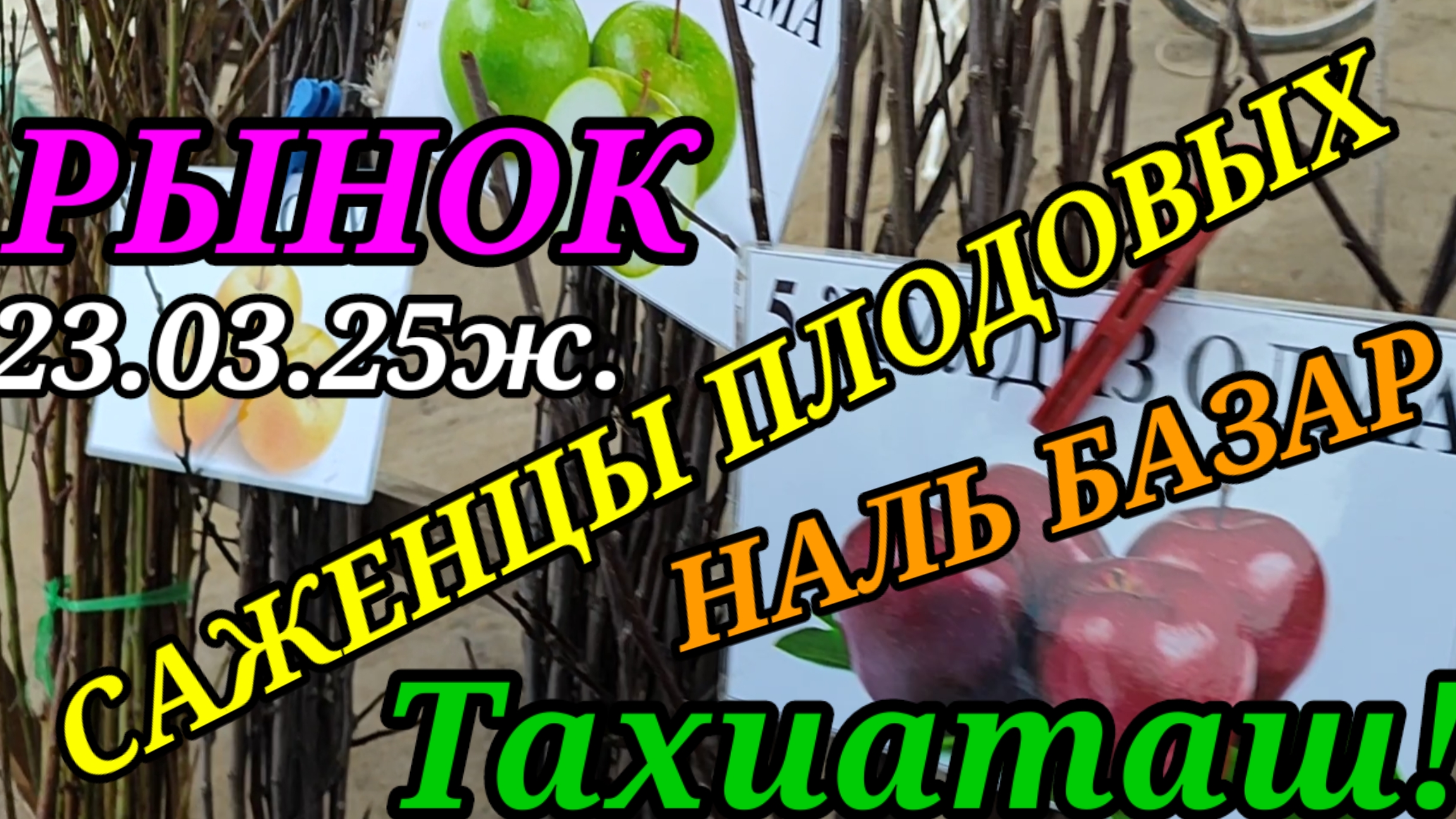 26-03-2025 САЖЕНЦЫ ПЛОДОВЫЕ