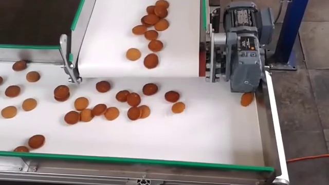 Ленточный конвейер - пищевое производство