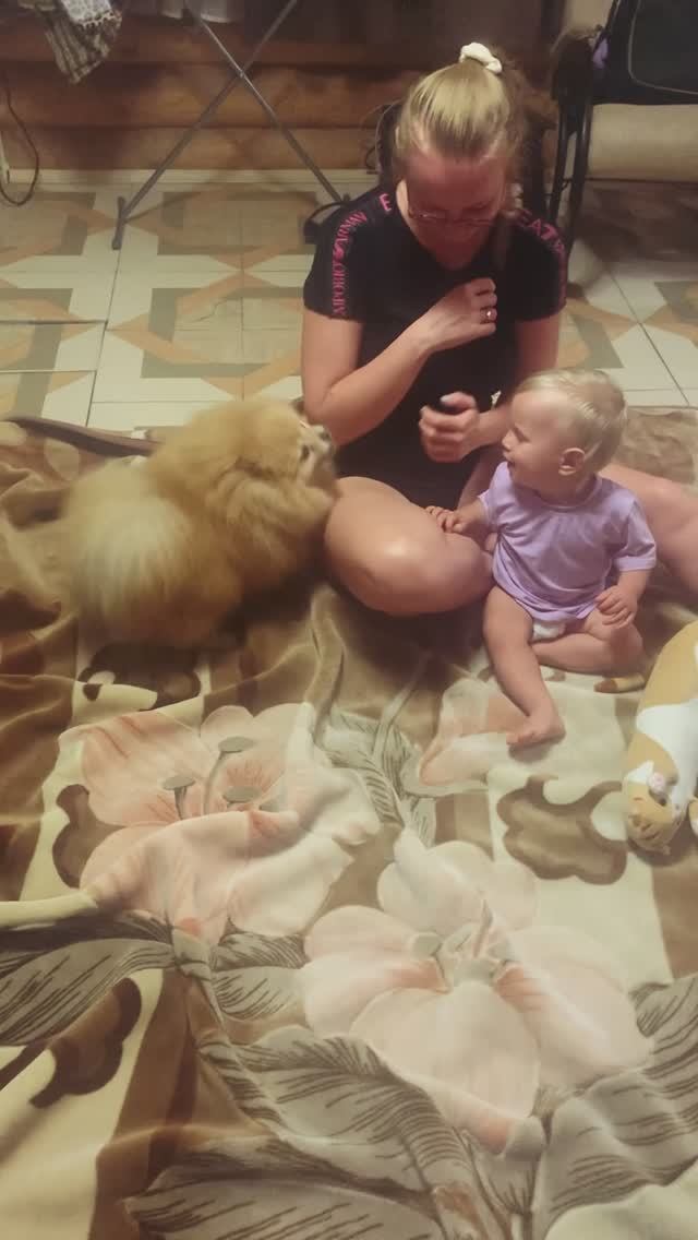 Малыш и шпиц