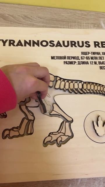 Конструктор тиранозавр рекс.