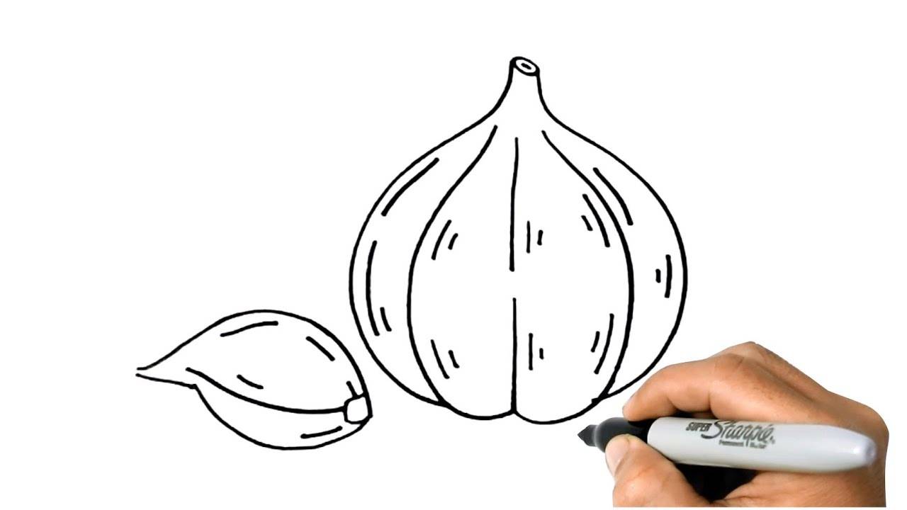 Как нарисовать ЧЕСНОК. Простые рисунки для срисовки