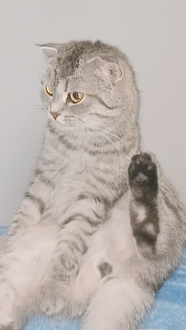 Это не мой путь ,а твой ! 👋🏼