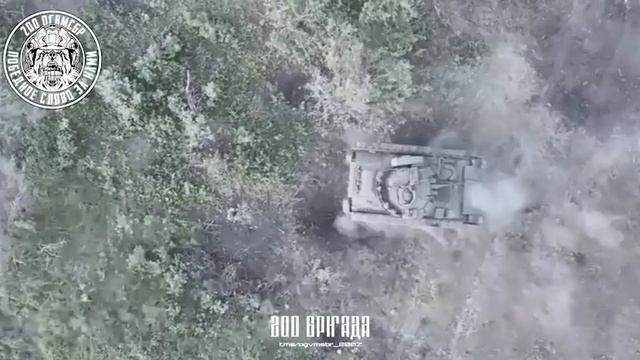 Наш оператор БПЛА с системой сброса подловил пехоту ВСУ во время высадки из Американской БМП "Bradle