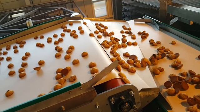 Ленточный конвейер