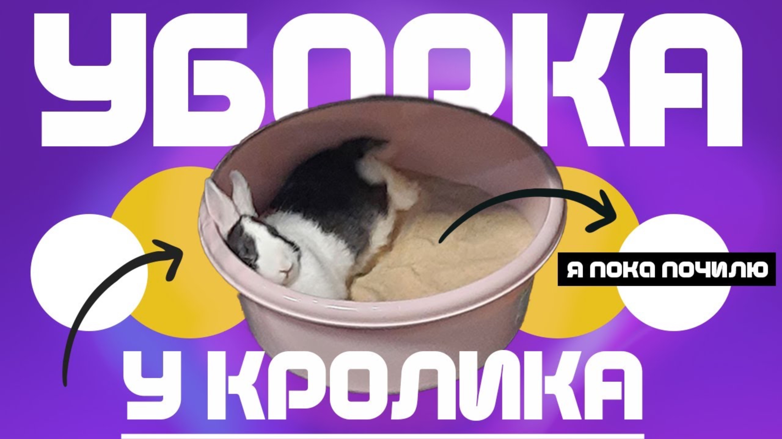 УБОРКА в вольере у КРОЛИКА