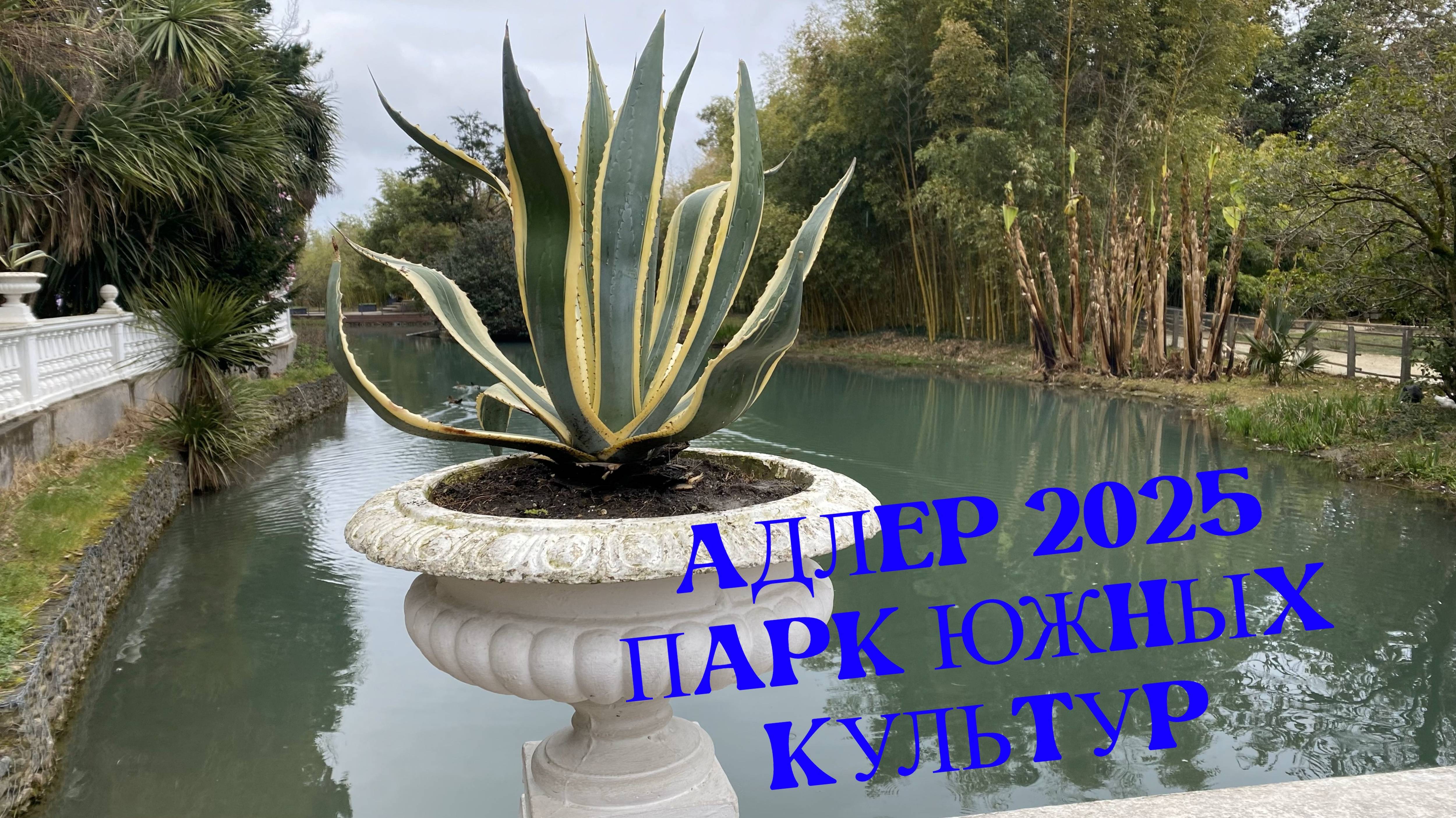 АДЛЕР 2025. ПАРК ЮЖНЫХ КУЛЬТУР