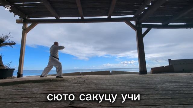 Школа киокушинкай каратэ. Программа на зелёный пояс