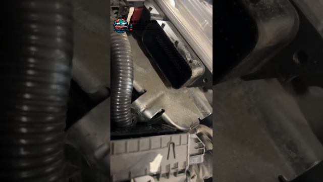 Добрался до Финика #ФишАвто #перекуп #automobile