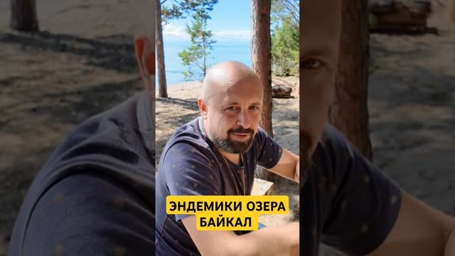 Эндемик озера Байкал - рачок эпишура