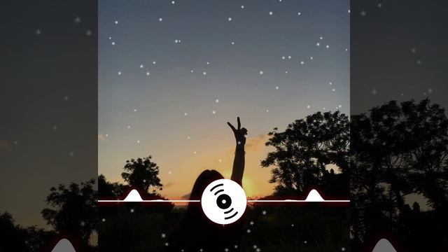 Дикая кошка