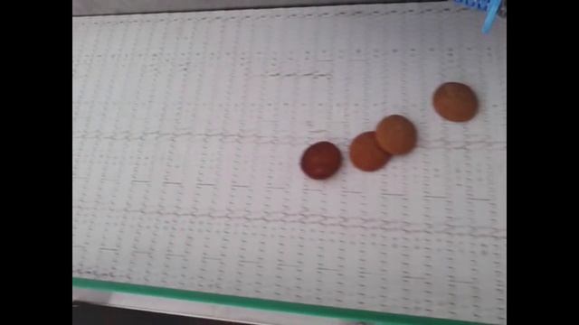 Модульный конвейер - хлебозавод