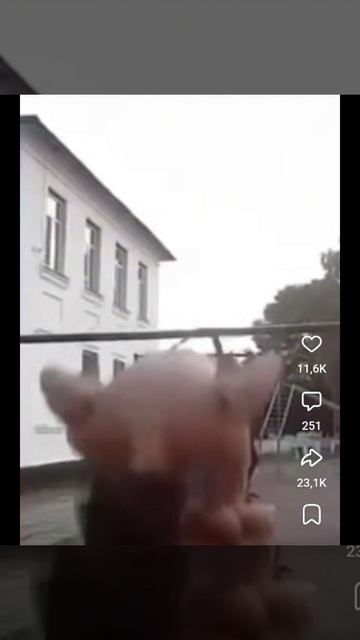 У гимнастов что-то пошло не так