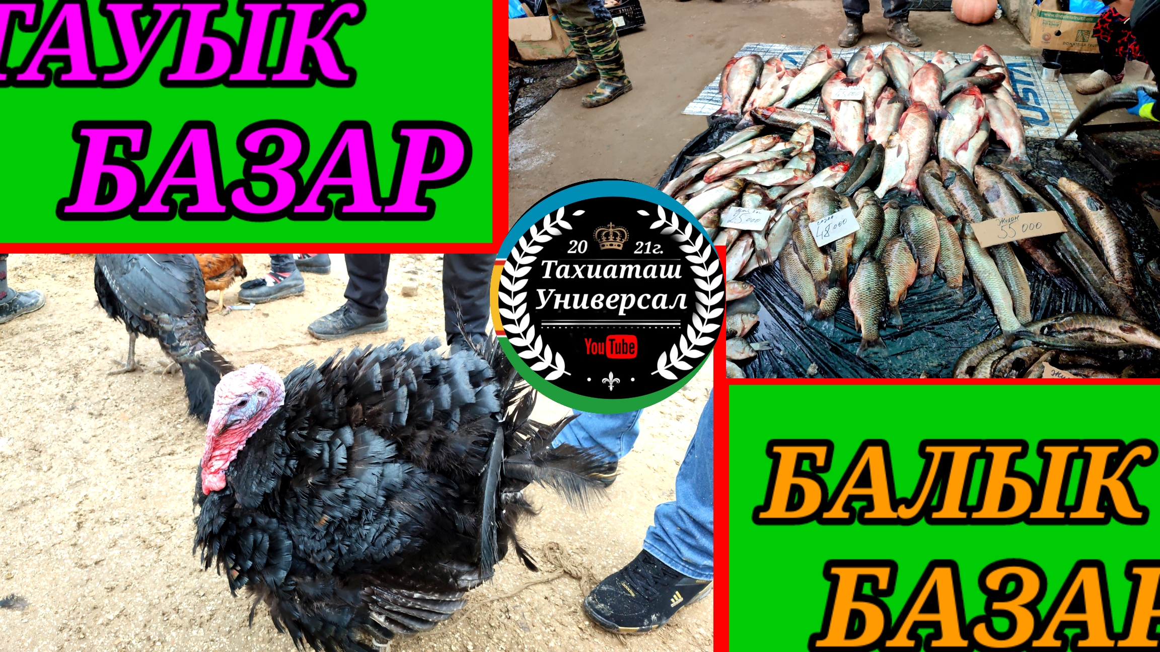 26-03-2025  ПТИЧИЙ  РЫБИЙ РЫНОК