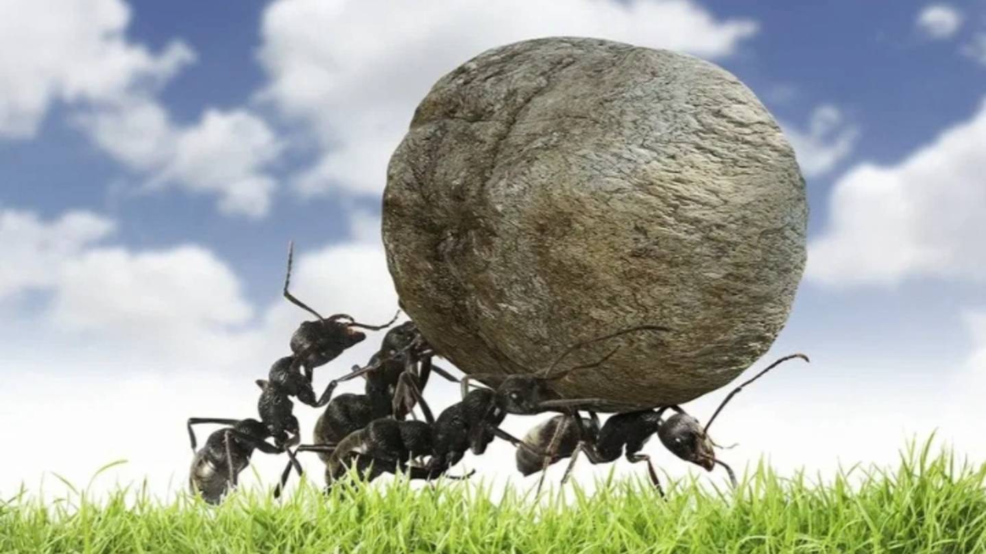 Скоро будет вип 5