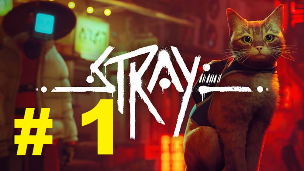 STRAY #1