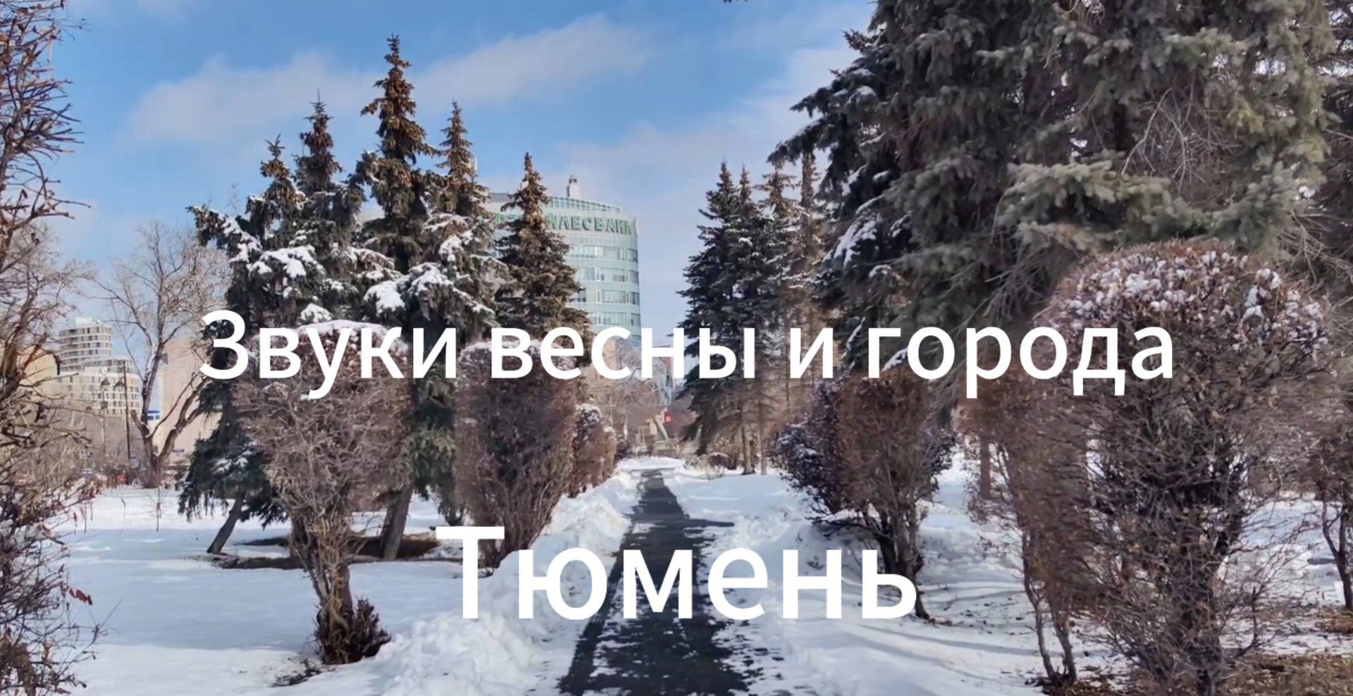 Пешком по центру Тюмени ( релакс-видео) Звуки города.