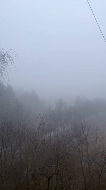 Пущинские пейзажи. Пущино Туман 26.03.2025