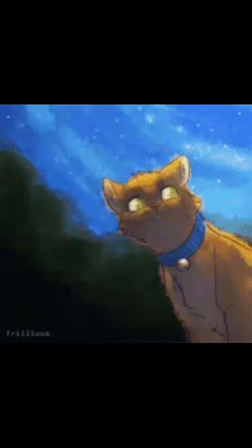 Коты-Воители 🫠