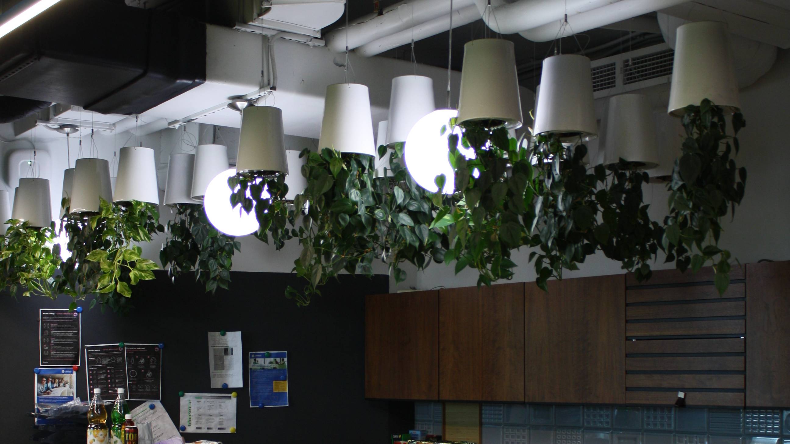 Фитодизайн офиса