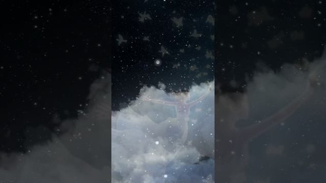 Анатолий КОРЖ ★ ПРИВЕТ #Фрагмент