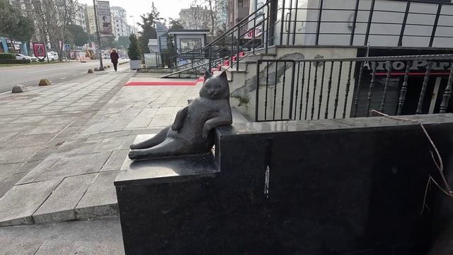 Стамбул. Памятник кошке Томбили