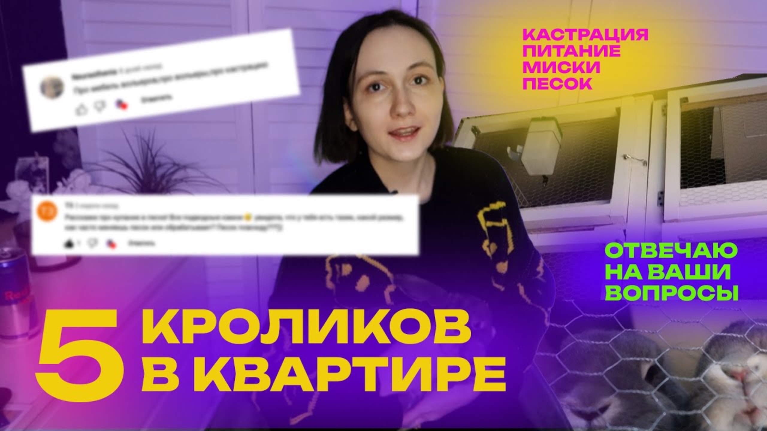5 кроликов В КВАРТИРЕ  |  отвечаю на вопросы про СОДЕРЖАНИЕ, кастрацию, миски и песок
