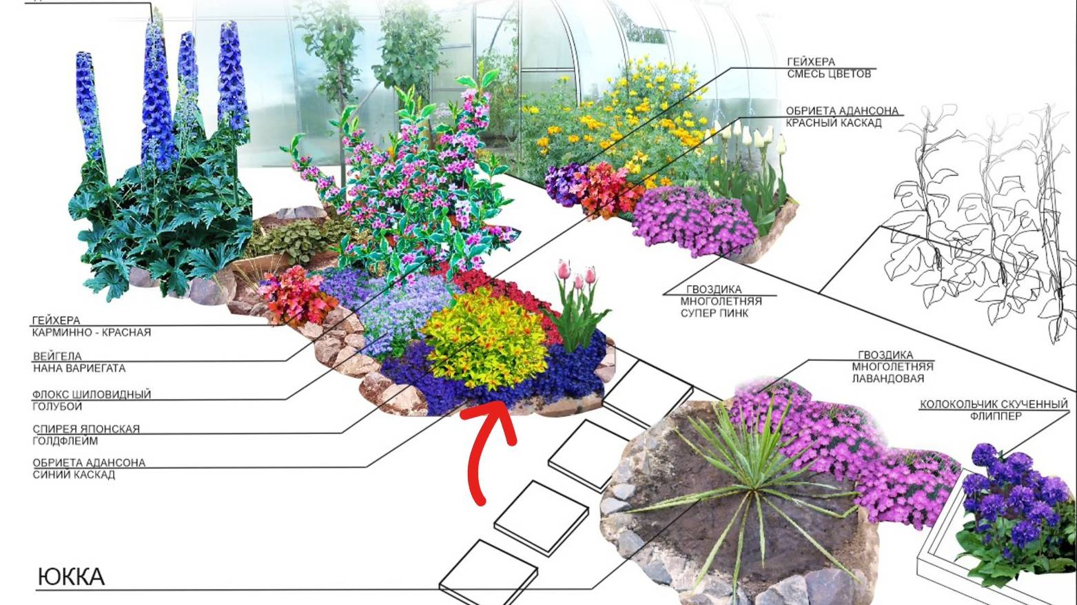 1. Формирование цветников из цветов - многолетников. 1 часть. Грядки на солнце