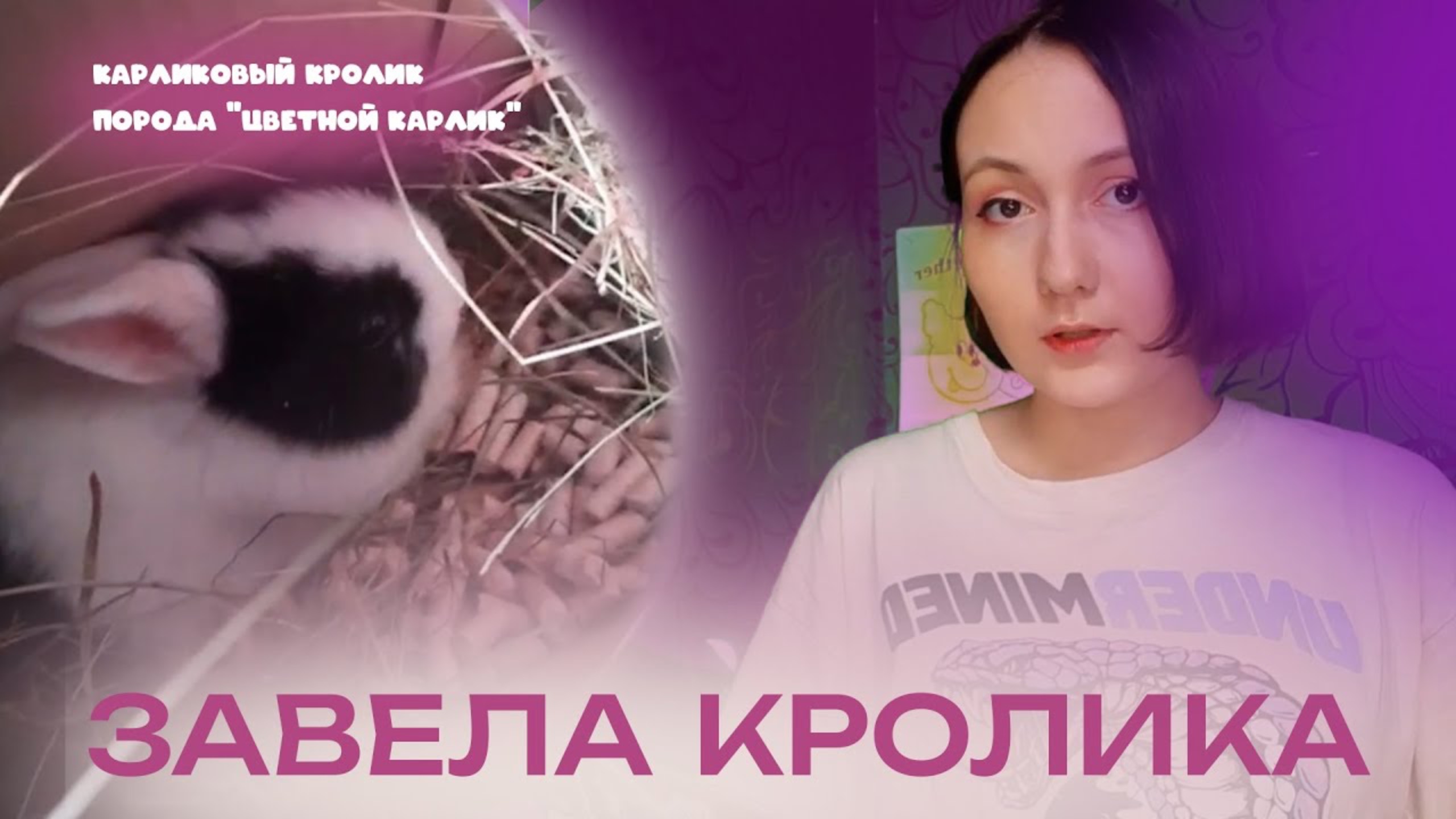 Как я ЗАВЕЛА КРОЛИКА/ покупка крольчонка возрастом 1,5 месяца/ новый питомец