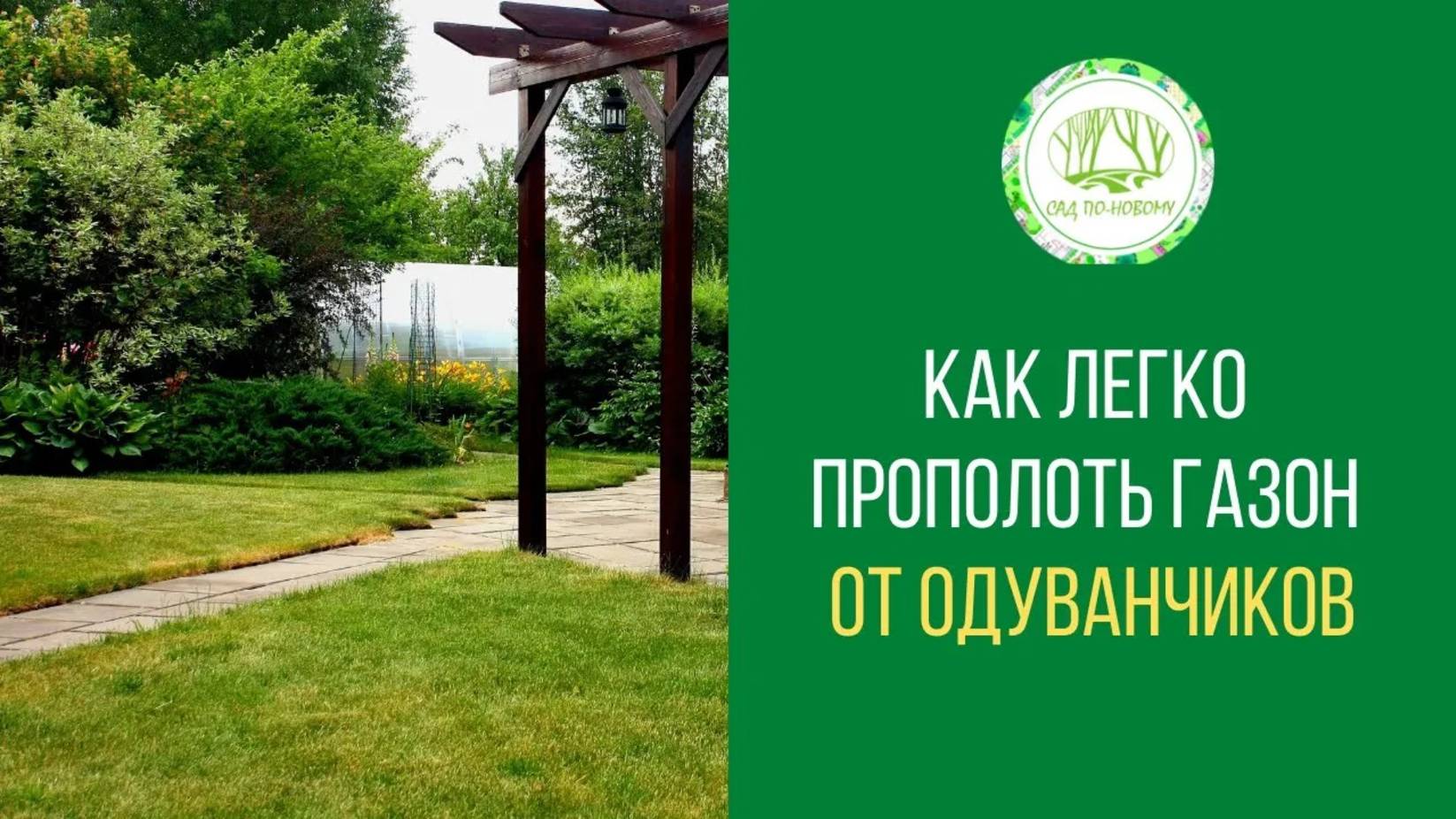 Как легко прополоть газон от одуванчиков