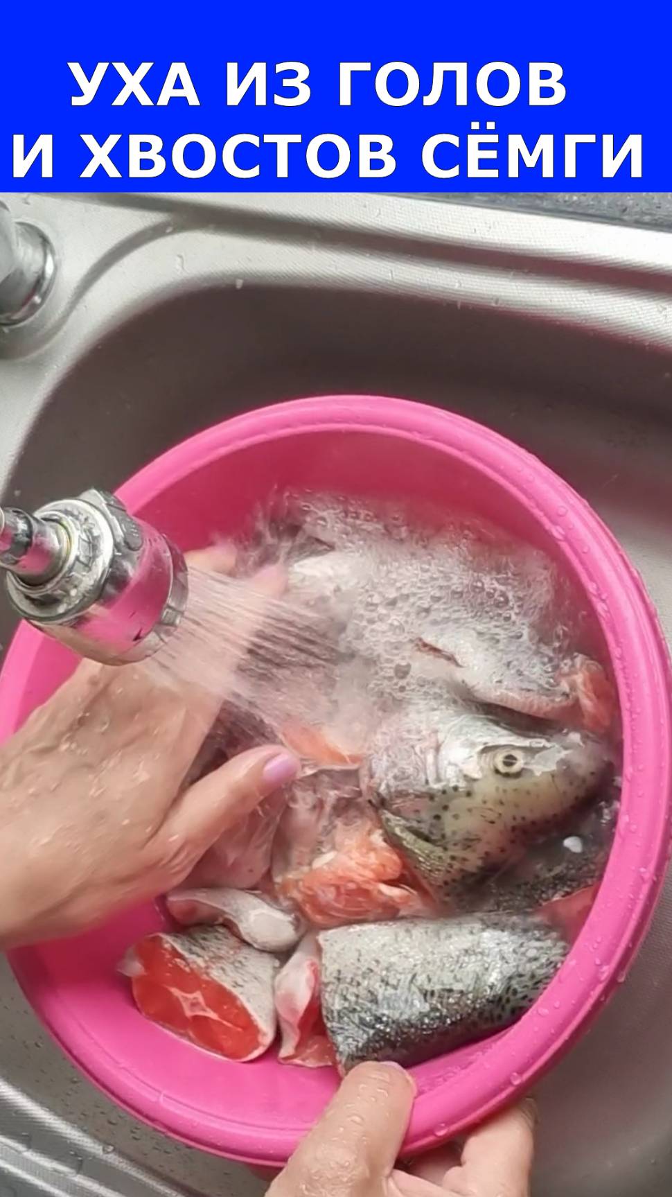 Уха из голов и хвостов сёмги с фасолью #готовим #рецепты